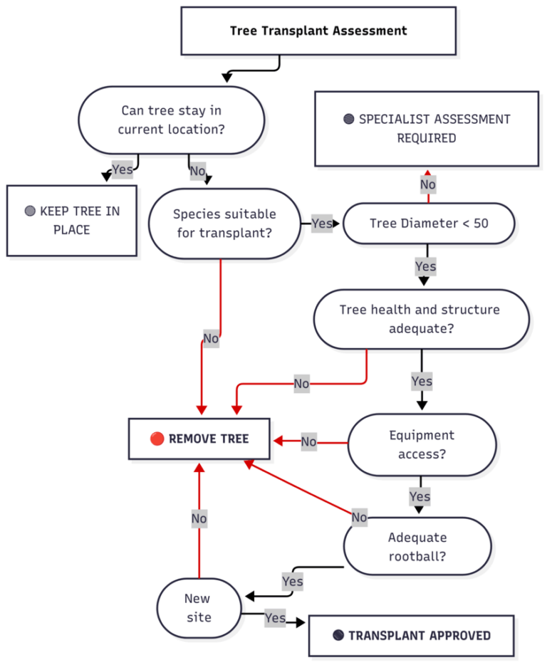Tree Transplanting: A Basic Guide – Treescapes